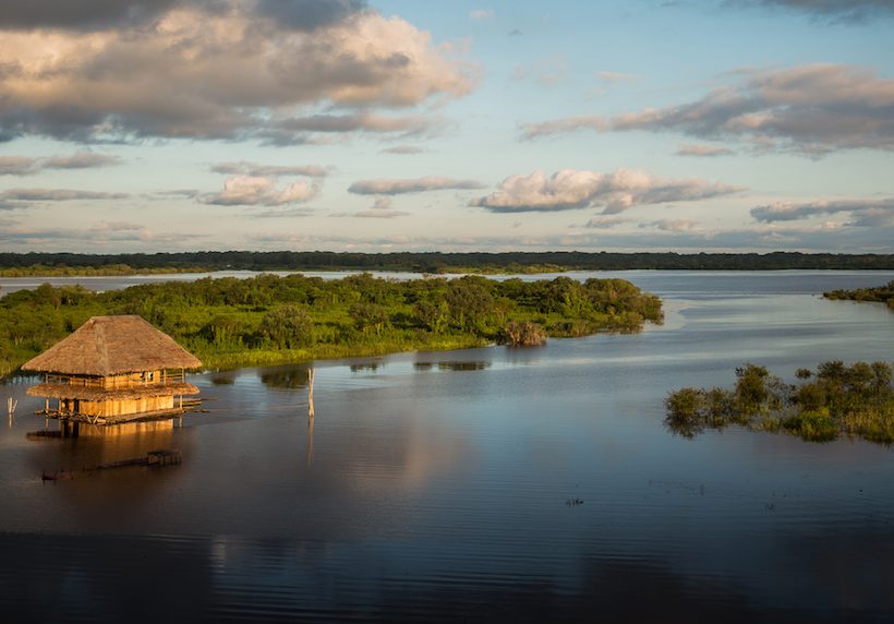 Un viaje mágico a la selva amazónica en Colombia - KAYAK América Latina